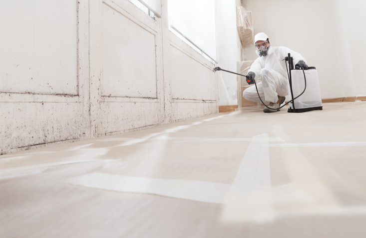 The Ultimate Guide to Mold Remediation: Tips and Best Practices